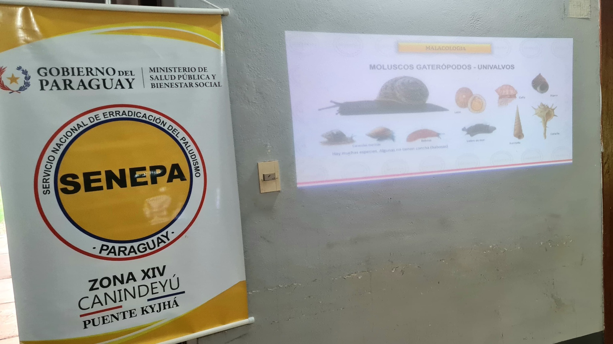SENEPA fortalece la vigilancia y control de la Esquistosomiasis en Canindeyú – Servicio Nacional ...